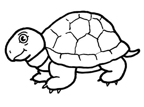 Tortoise Coloring Pages Coloringlib