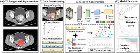 Workflow Of The Development Of Deep Learning‐based Nomogram Dln A Download Scientific