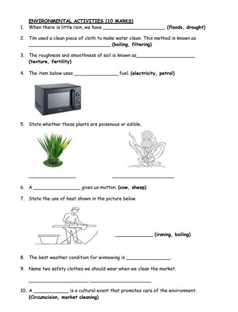 Grade 3 Integrated Activities Term 3 Opener Exam 2025 4494