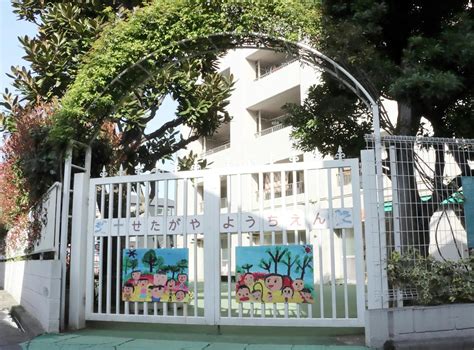 【世田谷幼稚園】創立百周年！より安全な園舎を子ども達へ〜思い出の桜にさようなら〜 Campfire キャンプファイヤー