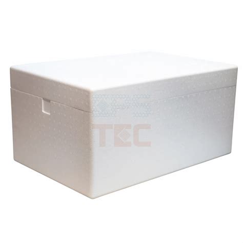 Polystyrene Insulated Foam Box Epstec China Eps Machine