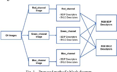figure 1 from endoscopic image classification using block based color