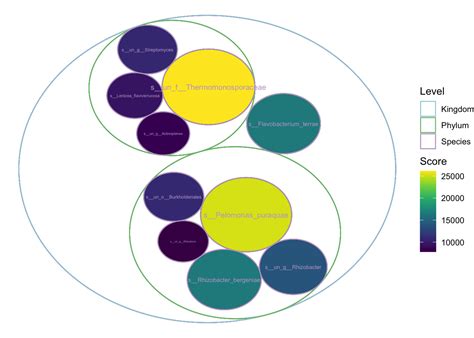R展示层级数据（桑基 旭日 珠包 Treemap图等）