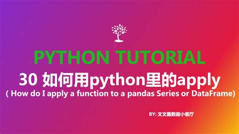 30 How Do I Apply A Function To A Pandas Series Or Dataframe Youtube