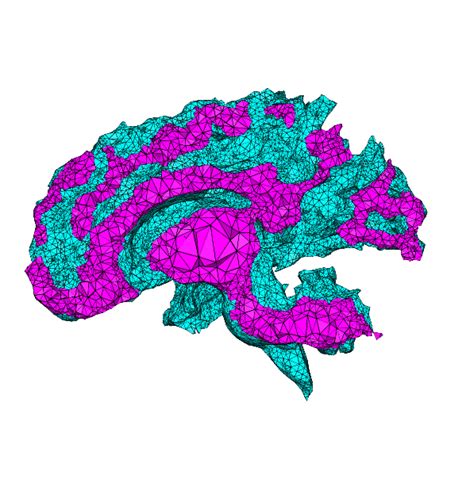 Tetgen Example Drosos