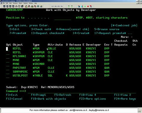 As Web Service Server Avi YouTube