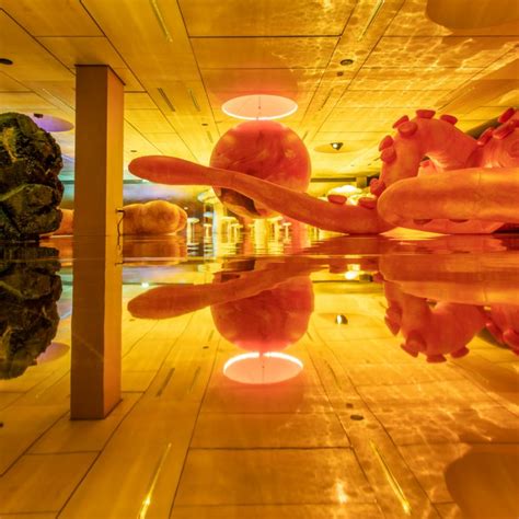 The Relic Shelter Teahouse Is Built Around A Historic Wooden Structure