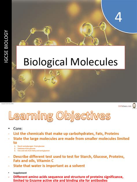 4 Biological Molecules Pdf Carbohydrates Fat