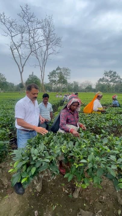 Arijit Chowdhury Posted On Linkedin