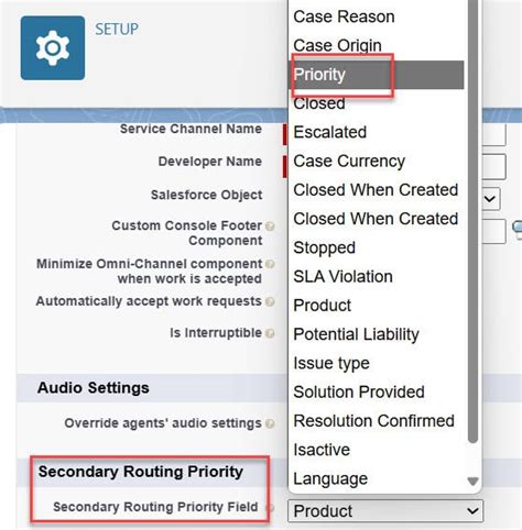 Set Up Secondary Routing Priority In Salesforce Omni Channel