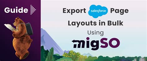 Guide To Export Salesforce Page Layouts By Using Migso