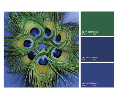What Goes With Peacock Blue At Brianna Fornachon Blog