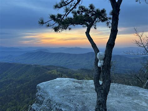 Survey Statistics It Is The People Statistical Modeling Causal Inference And Social Science