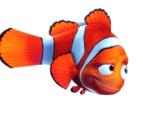 Imágenes Clipart De Los Personajes De Buscando A Nemo Png Webblog