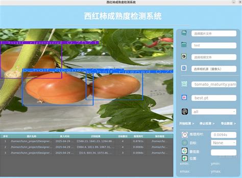 基于深度学习的西红柿成熟度检测系统（pyqt5yolov11代码训练数据集）番茄成熟度检测系统yolo11 Csdn博客