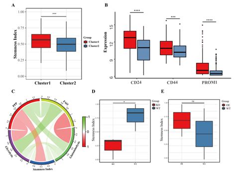 Ppp Activity Regulates The Stemness Of Cancer Cells A Quantification