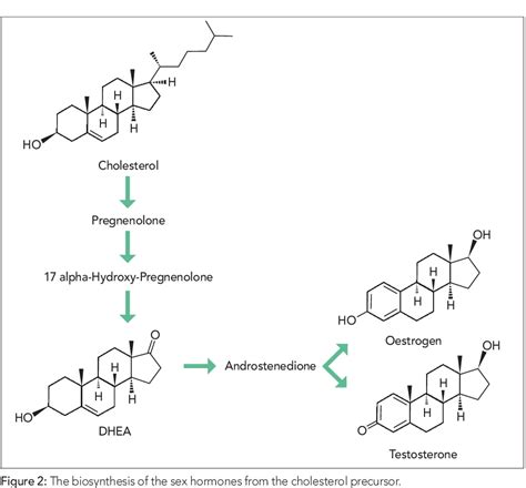 Figure 2 From Stimulating Endorphins And Sex Hormones In The Skin Semantic Scholar Figure 2 From Stimulating Endorphins And Sex Hormones In The Skin Semantic Scholar