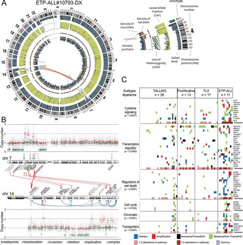 Whole Genome And Targeted Exome Sequencing Results For Pediatric T All Download Scientific