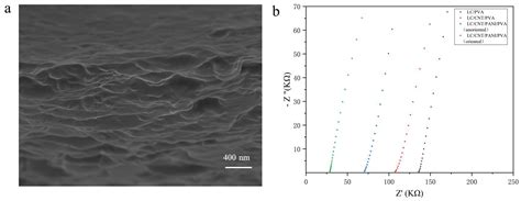 Liquid Crystalcarbon Nanotubepolyaniline Composites And Their Coating Orientation Patterning