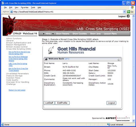Owasp Webgoat Project Notageekit Di Mirko Iodice