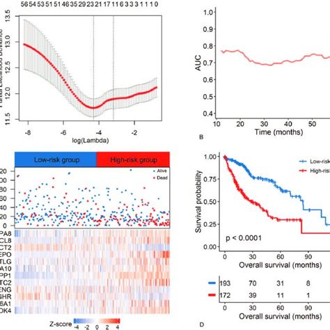 Construction Of The Immune Signature In The Training Set A 10