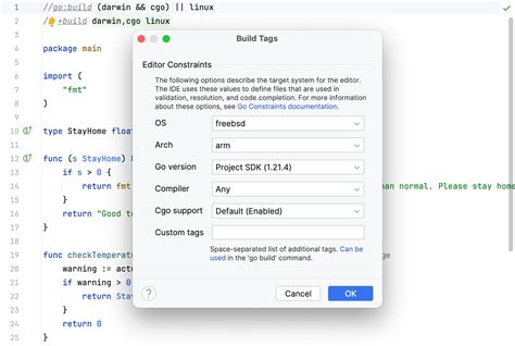 build constraints and vendoring goland documentation