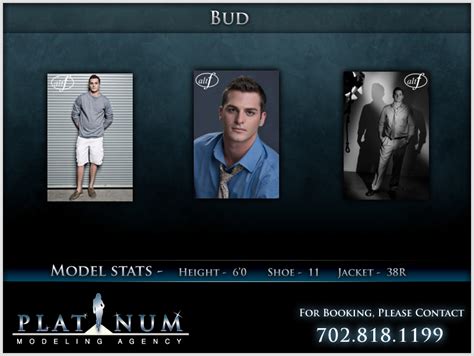 Budr Large Platinum Models