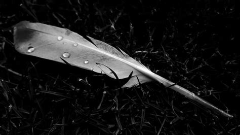 Premium Photo Close Up High Angle View Of Grass