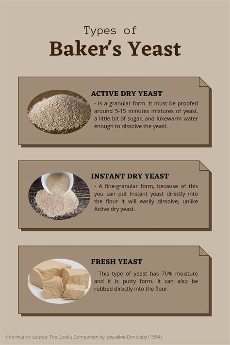 3 Types Of Bakers Yeast For Delicious Bread
