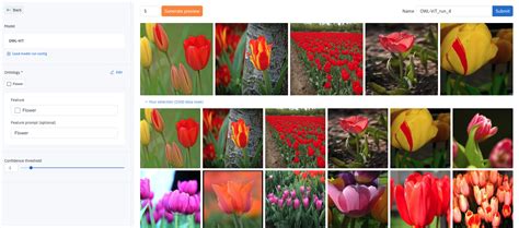 Model Assisted Labeling