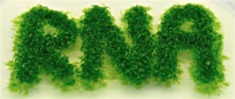 a portion of noncoding rna may play an essential role in protecting the