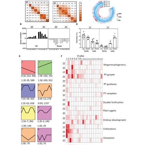 Overview Of The Global Transcriptomic Profiling Sand Differences Download Scientific Diagram