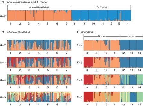 Results Of Bayesian Clustering Structure Pritchard Et Al 2000 Of