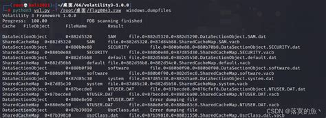 volatility3内存取证工具使用详解 csdn博客