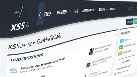 Cybercrime Forum Xss Returns On Mirror And Dark Web Day After Seizure