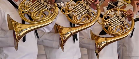 Brass Instrument Tuba