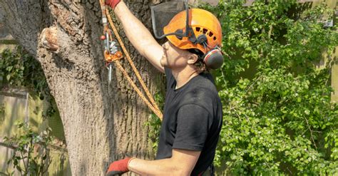 How To Replace Rope On Tree Pruner