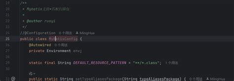 Ruoyi集成mybatisplus的一些问题could Not Find Class Orgmybatisspringboot