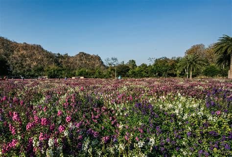 Bhola Baba Wallpaper Photos Download The Best Free Bhola Baba