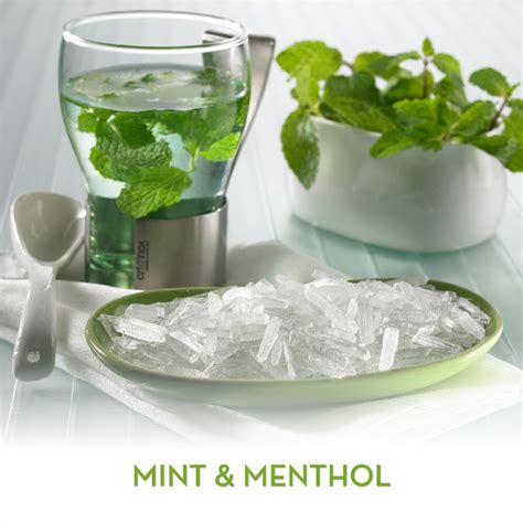 Mint And Menthol V Mane Fils Sa Ingredients Network