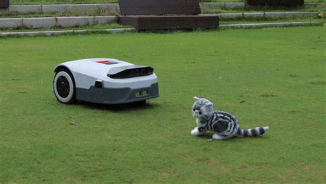 Anthbot Intelligent Perception System Aips Anthbot Official