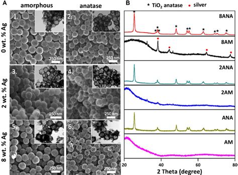 A SEM And TEM Inserts Images Of Amorphous And Anatase TiO 2 NC Download Scientific Diagram