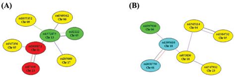 Two Potential Epistasis Networks Each Centered At An Snp That Had One Download Scientific