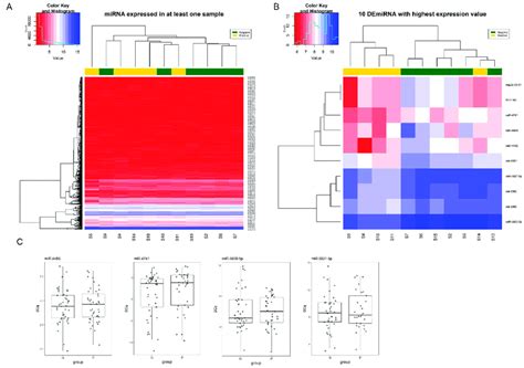 Results Of Mirna Expression Profile By Microarrays A Heatmap Showing