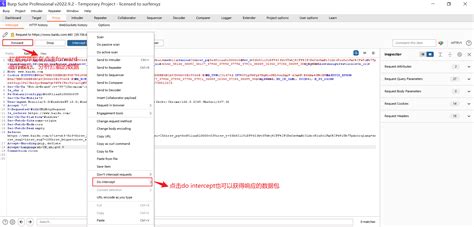burpsuite的介绍和使用 burpsuite功能介绍 csdn博客