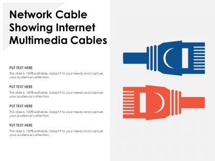 Network Cabling PowerPoint Presentation And Slides PPT Presentation SlideTeam