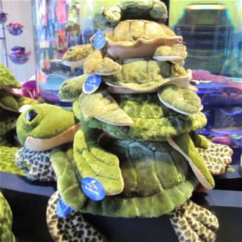 Turtle Reef At Sea World 63 Photos Aquariums 500 Sea World Dr