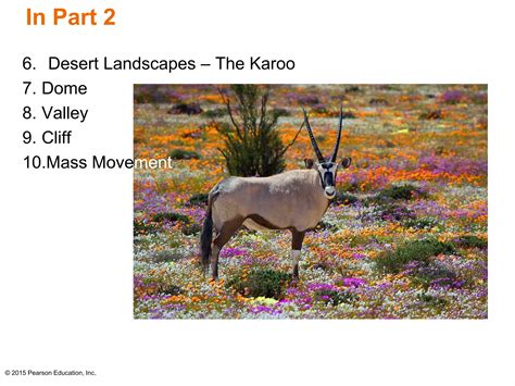 sa geomorphology part 2 pdf