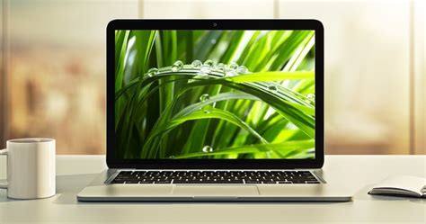 chia sẻ khóa học spring and hibernate for beginners includes spring boot