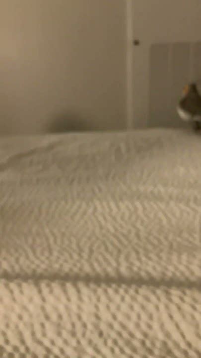 Rate This Loop 1 10 Youtube